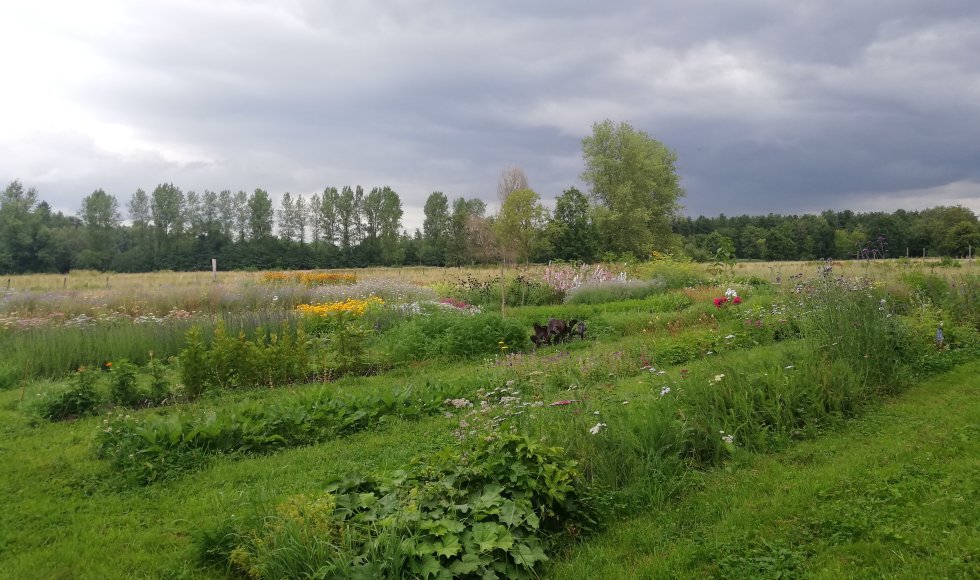 De Mollenhoeve | Velt